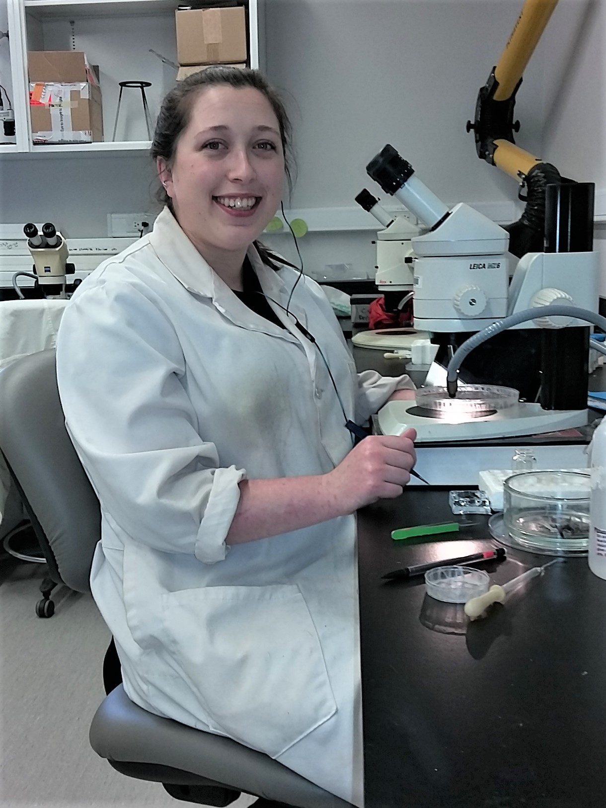 Alexandra Grossi | Proctor Lab - where we put biodiversity under the ...