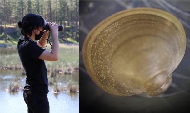 Dechen Edwards | Proctor Lab - where we put biodiversity under the ...