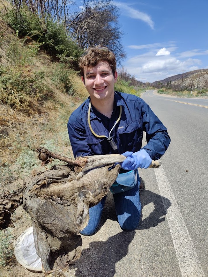 Bennett Grappone | Proctor Lab - where we put biodiversity under the ...