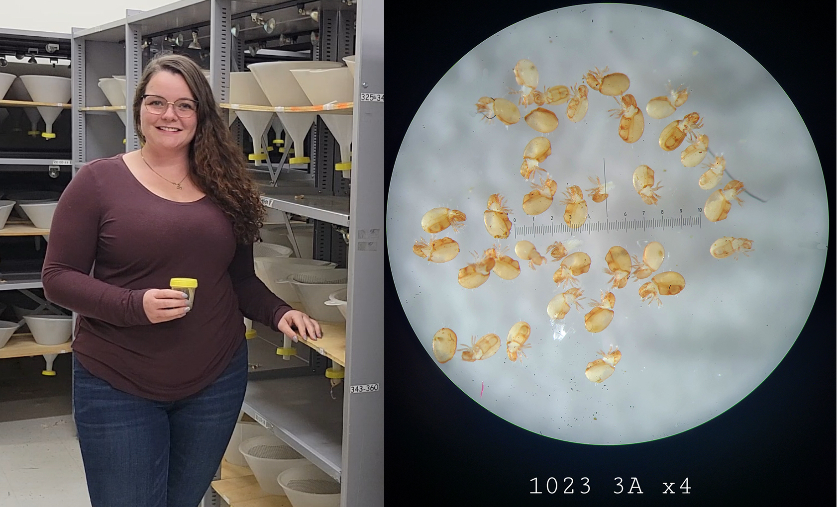 Jessica Lario | Proctor Lab - where we put biodiversity under the ...